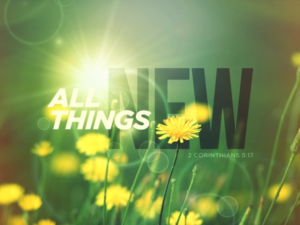 The New is Here | Bethel Christian Reformed Church, Dunnville